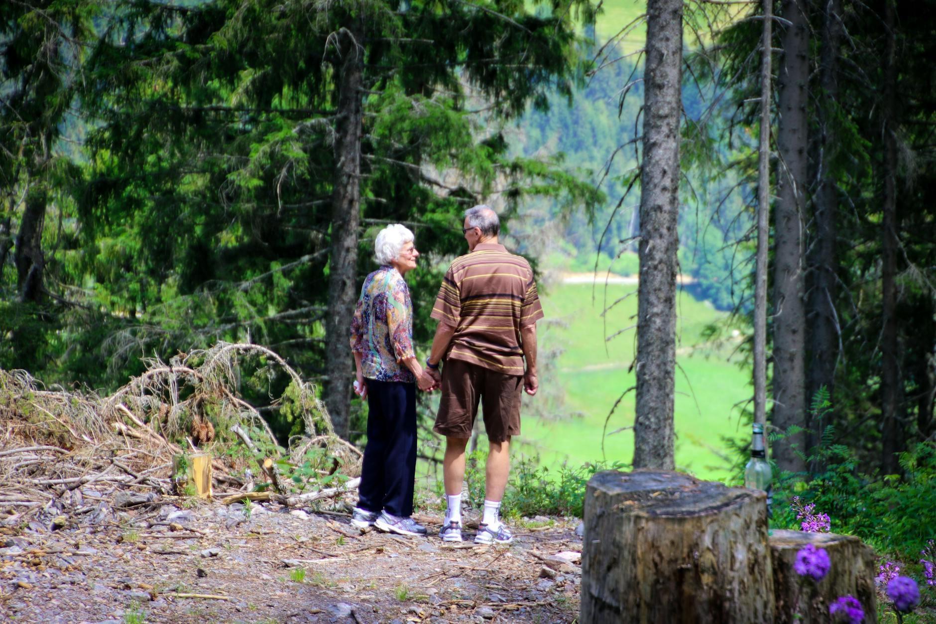 Pensionen stiger i 2025: Se nye satser for folkepension og ældrecheck ...