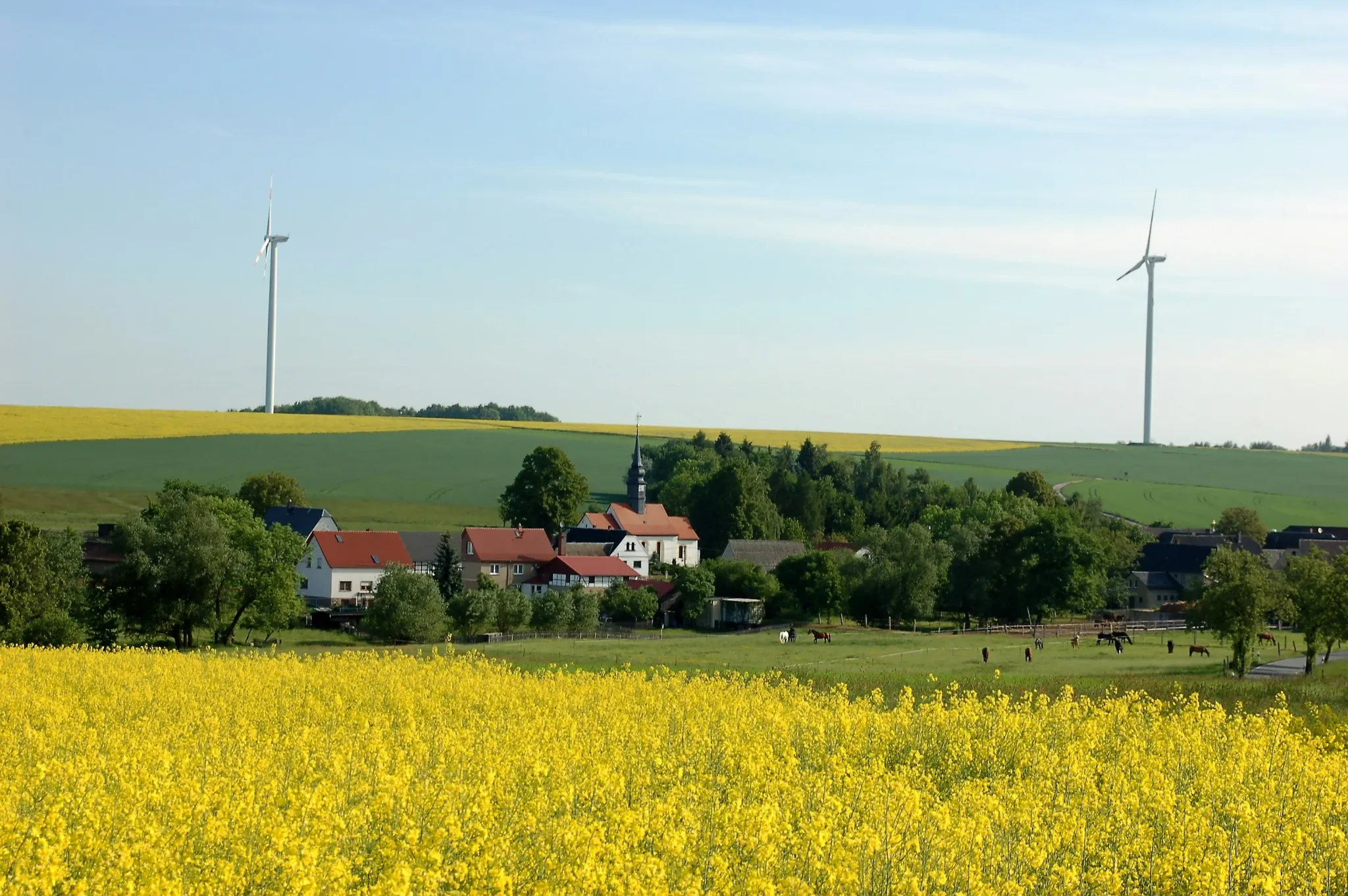 EU godkender affedtet rapspulver som ny fødevare (Novel Food) — Lovguiden