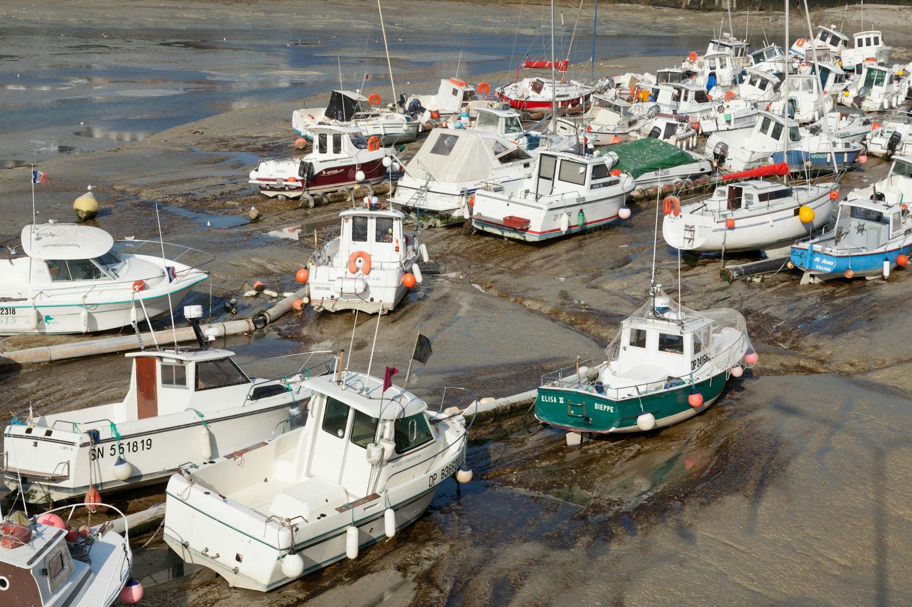 Ny styrelse samler landbrug, fødevarer og fiskeri og flytter job til ...